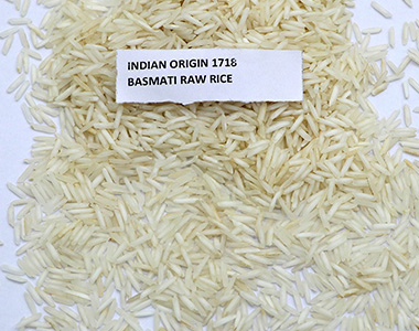 Basmati Rice – Expocean Exports