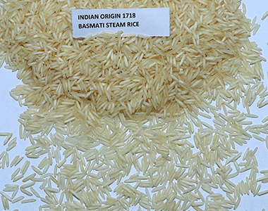 Basmati Rice – Expocean Exports