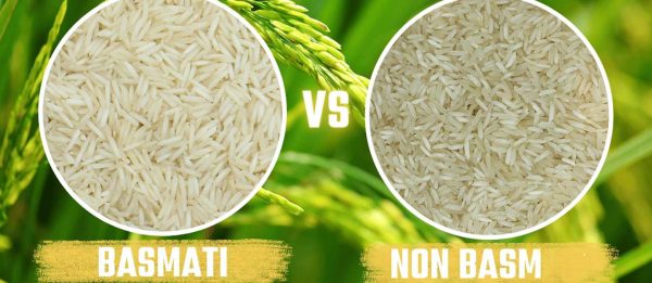 Basmati vs Non-Basmati Rice – What’s the Difference? – Expocean Exports