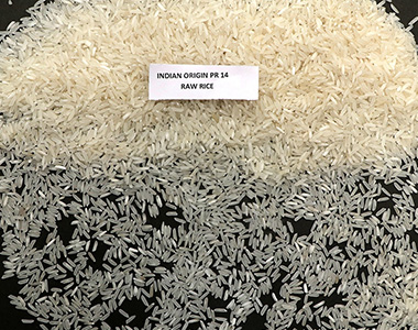 Non-Basmati Rice – Expocean Exports