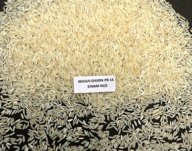 Non-Basmati Rice – Expocean Exports
