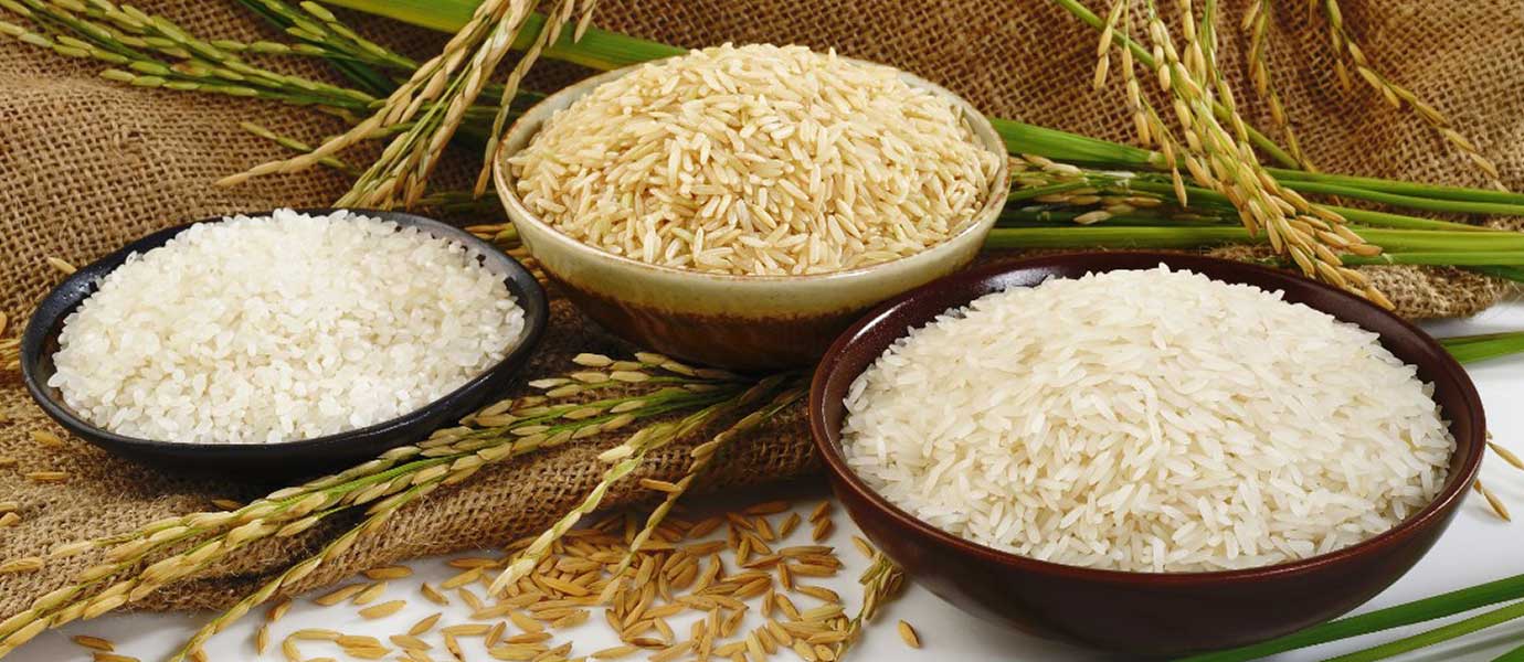 Premium Indian Rice Exporter – Delivering Quality Rice Globally ...